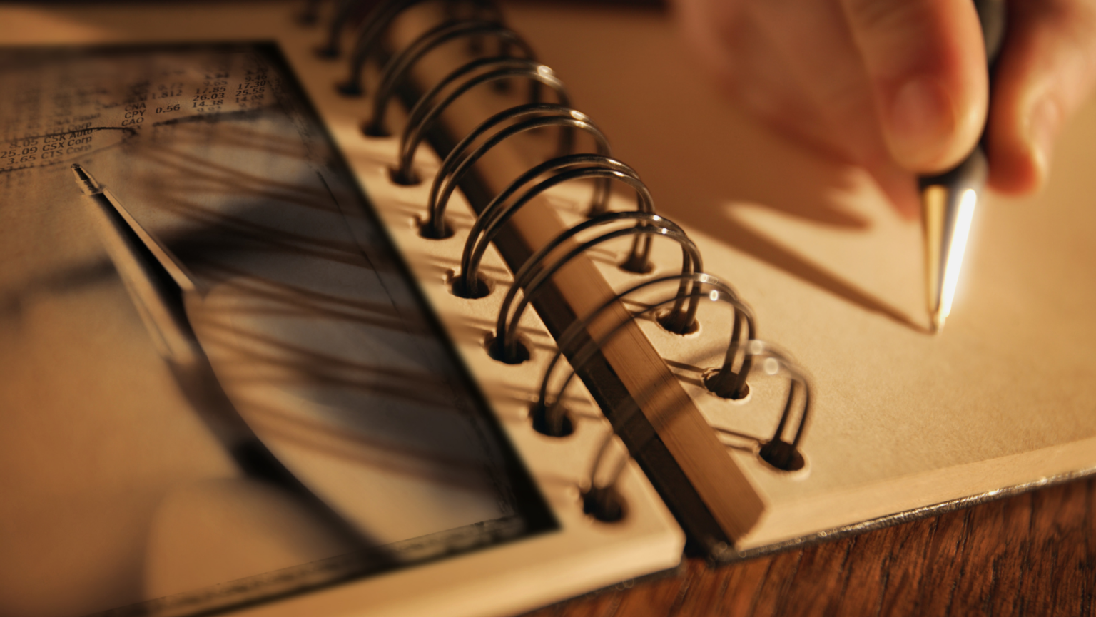 25 Creative Writing Portfolio Examples That Will Inspire Your Best Work ...